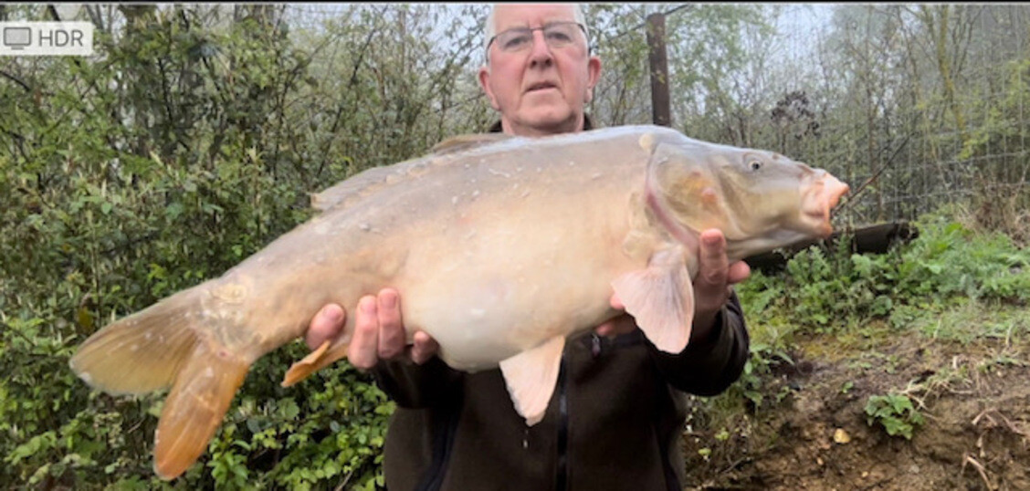 Earls Colne Carp - Knights Fishing